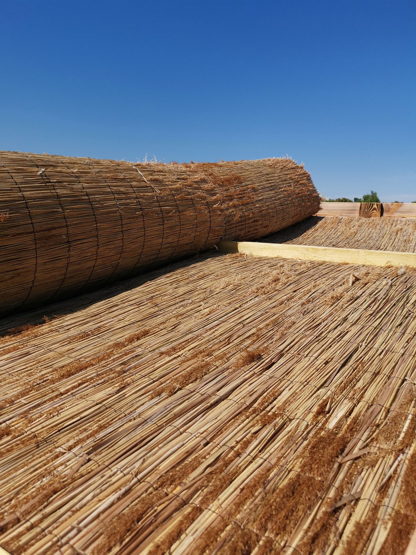 Ets Combe spécialiste de produits à base de roseaux de Camargue